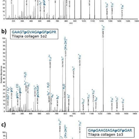 Msms Spectra Of Tryptic Tilapia Collagen 1 Peptides From Tilapia Skin