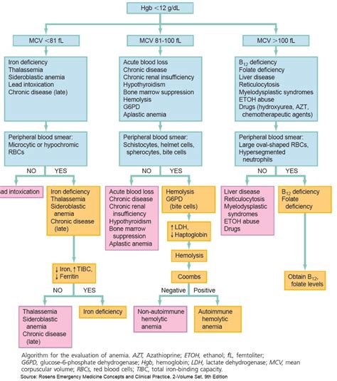 Normal Lab Values Chart Printable