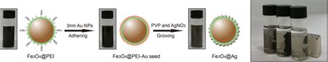 Dual‐selective And Dual‐enhanced Sers Nanoprobes Strategy For Circulating Hepatocellular