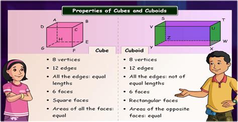 Class 6 Mensuration Solid Properties Of Cube And Cuboid