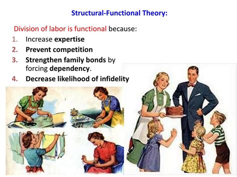 What Is Structural Functional Theory Fesspuppy
