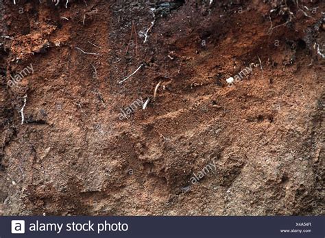Soil Profile High Resolution Stock Photography And Images Alamy