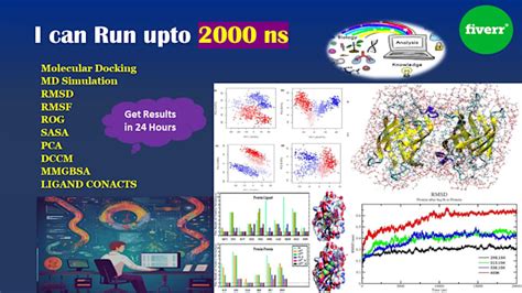 Molecular Docking And Molecular Dynamics Simulation By Sufianrazzaq