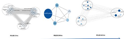 Figure 3 From A Gene Modular Approach To A Temporal Meningococcal Septic Shock Transcriptome