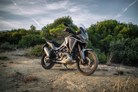 L1009738 Modifier Hosted At Imgbb — Imgbb