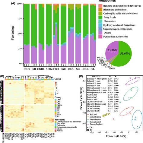 A Relative Abundance Of Eight Metabolic Taxonomy In The Entire