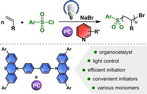 Initiator‐activation Strategy‐enabled Organocatalyzed Reversible