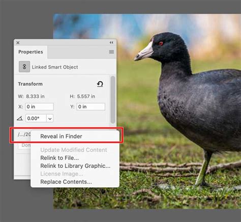 Solved Re How To Find The Source Of A Layer In Finder Adobe Product Community 12214339