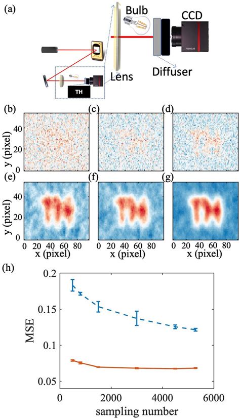 A Schematic Of The Setup A Ground Glass Diffuser Grit Size 220 Is