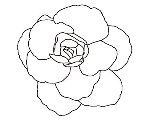 Simple Outline Drawings