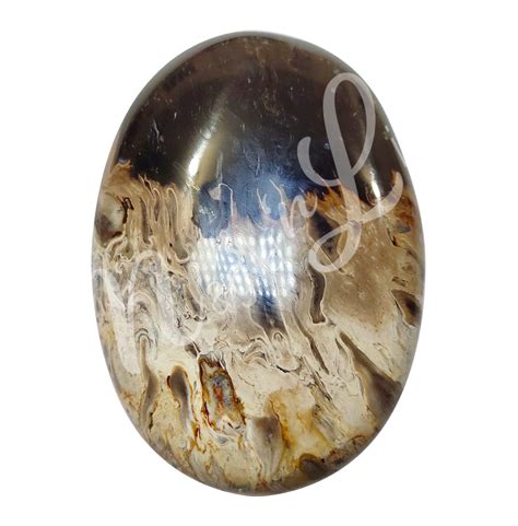 Palm Stone Fossil Palm Root 2 225″ Cha Cha Ts