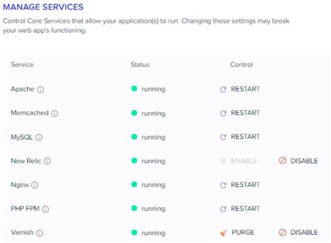 Why Choose Cloudways Hosting For Your Magento Store An In Depth Review