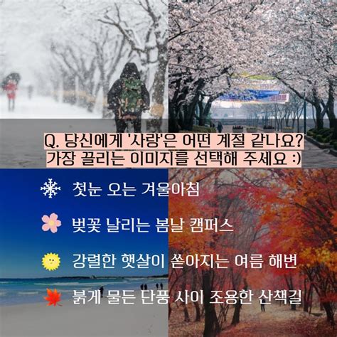 우연시 우연한 인연의 시작 요즘 나의 연애 감도는 몇 도쯤일까 계절로 알아보는 연애 심리 테스트 🌿 지금 마음을 가장 닮은 계절을 골라보세요 짧은 테스트지만
