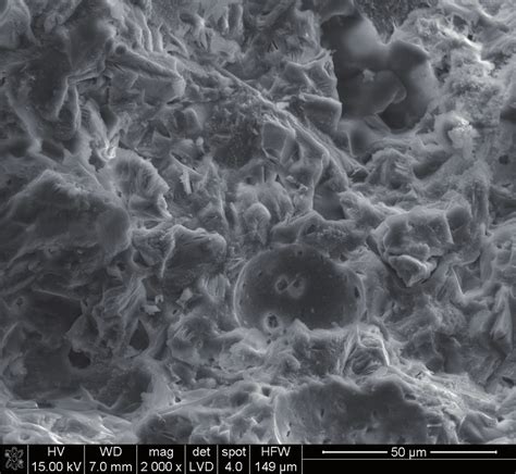 Microstructure Of Hydrated Ca Sample Download Scientific Diagram