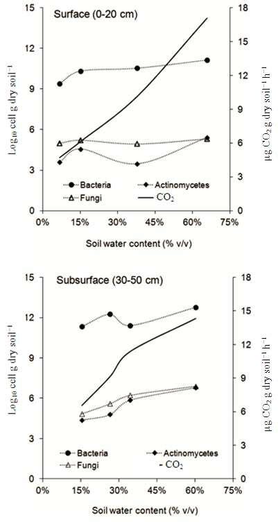 Individual Microbial Group Population Bacteria Actinomycetes And Download Scientific Diagram