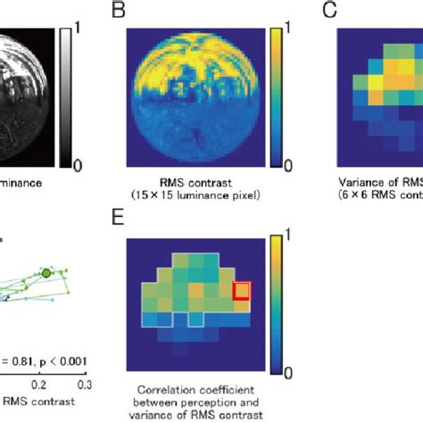 Correlation Between Local Rms Contrast Variability And Perceived