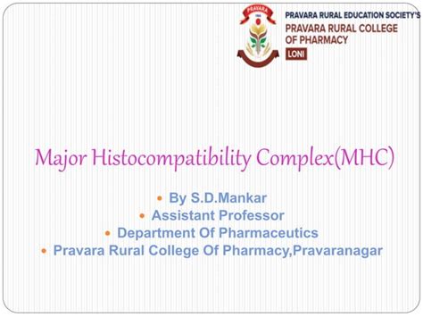 Mhc Major Histocompactibility Complex Definition Classification Structure And Functions Of