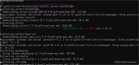 Python虚拟环境 Venv下安装playwright怎么在venv里装东西 Csdn博客