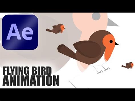 Flying Bird Animation In Adobe After Effects For Beginners After Effects Tutorial No Plugins