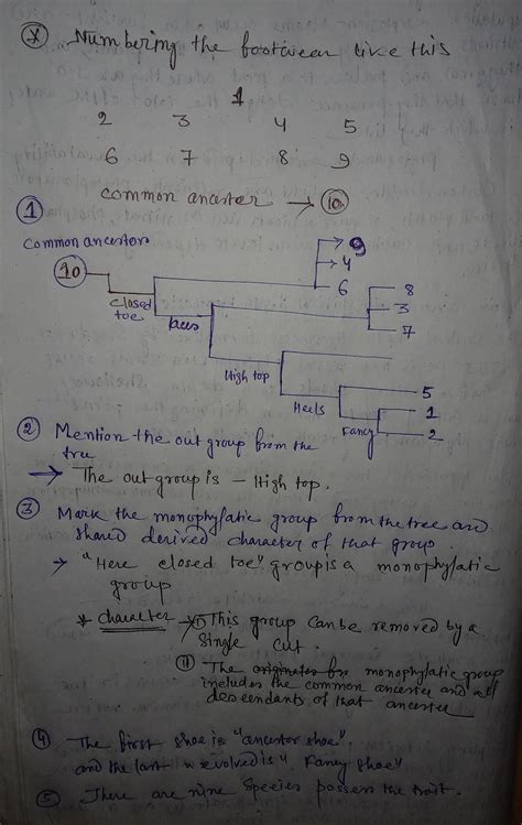 [solved] 1 draw a phylogenetic tree with this 9 footwear and 1 common