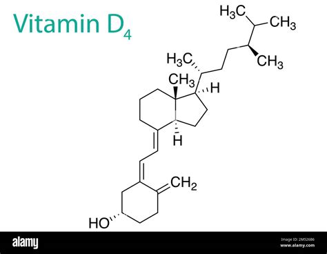 A Vector Illustration Of The Molecule Structure Of Vitamin D4 Stock Vector Image And Art Alamy