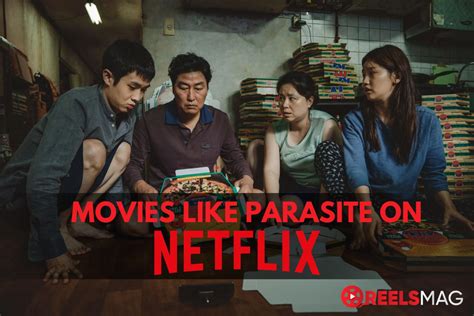 15 Best Movies Like Parasite To Watch On Netflix Reelsmag