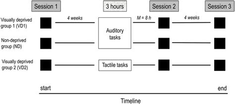 Timeline Of The Study The Study Comprised Three Testing Sessions Download Scientific Diagram