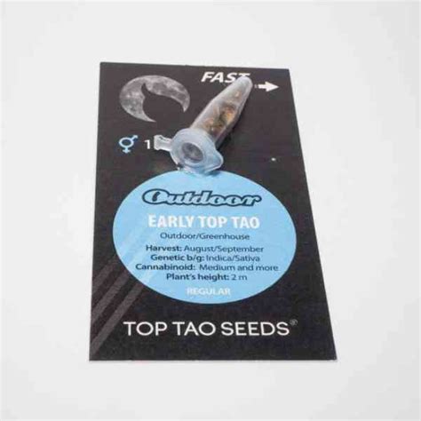 Early Top Tao Pan Pestka