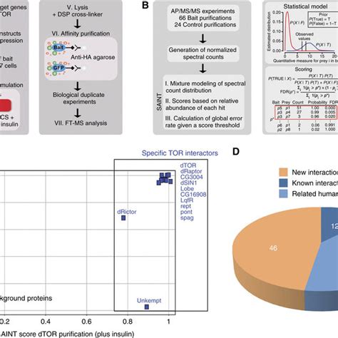 Overview On The Experimental Workflow And Data Processing A Download Scientific Diagram