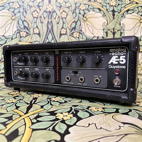 Guyatone Ae 5 Analog Delay Reverb