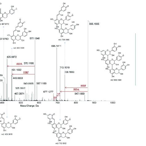TOF MS MS Spectrum Of Compound 19 The Chemical Structure Of Each Download Scientific Diagram