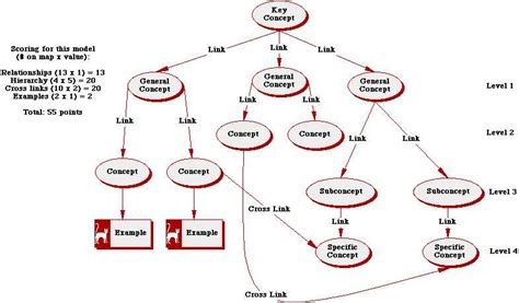 Unlocking The Secrets Of Cell Reproduction Your Complete Answer Key To