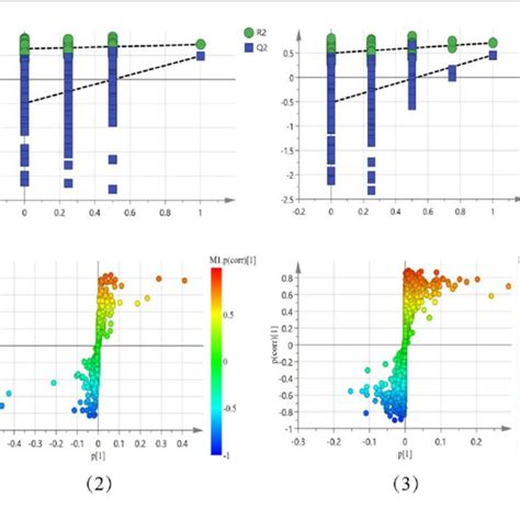 Permutation Test Plots A And S Plot B Of Opls Da Between The