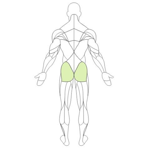 How To Do Seated Hamstring Stretch The Right Way