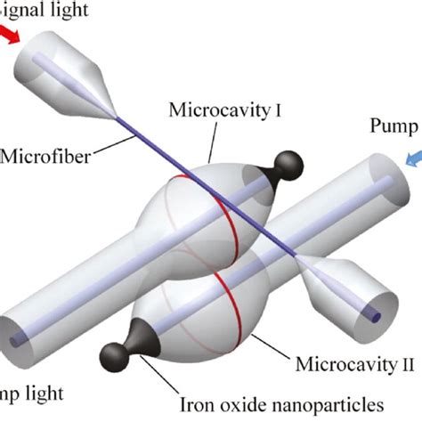 Eit Resonance In Different Single Microcavity Systems A A Download Scientific Diagram