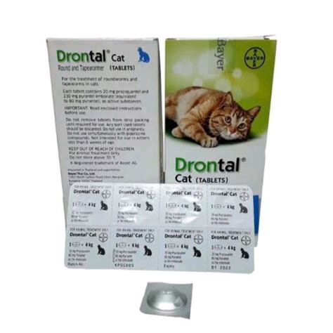 Jual Drontal Cat Tablet Shopee Indonesia