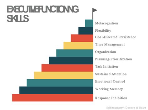 Peds Recitation 9 Executive Functioning Flashcards Quizlet