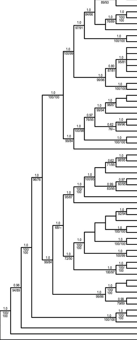 Bayesian Tree Of The Combined Unpartitioned Dataset Numbers Above