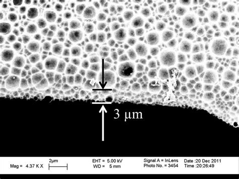 22 A Side View Of A Porous Silicon Membrane Download Scientific Diagram