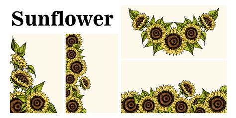 해바라기 배경입니다 스케치 스타일의 꽃과 나뭇잎 검은 씨앗 노란 꽃잎 빈티지 장식 인사 및 초대장 오일 포장 카드 배너 또는