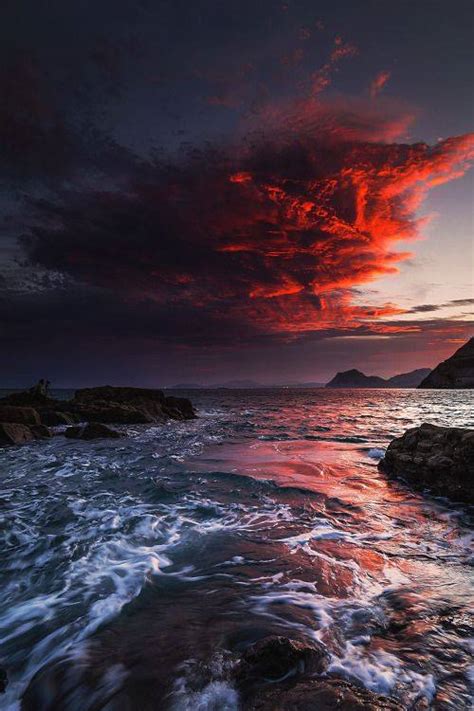 Para El Psicoanalista Carl Jung Julia Manfredi Tarot