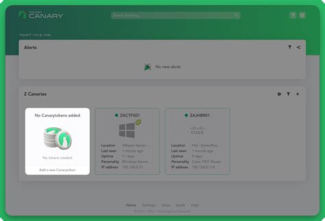 how do i create a dns canarytoken thinkst canary