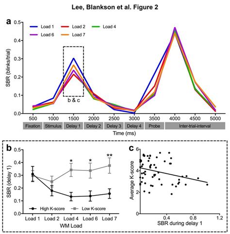 time course of sbr during a full trial and relationship between sbr and