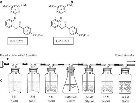 Structure Of Radioactive Zj0273 With Asterisk Marking The Position Of Download Scientific