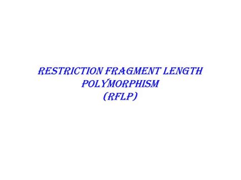 Restriction Fragment Length Polymorphism Powerpoint Slides