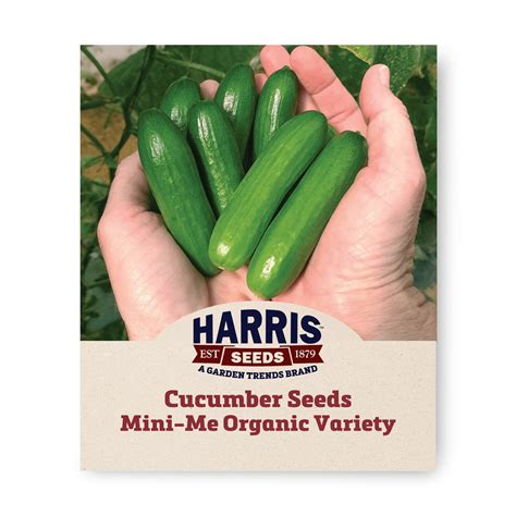 Harris Seeds 50 Mini Me Organic Cucumber Plant Seeds Non Gmo