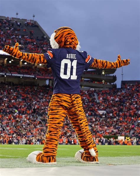 Pin By Ac Hooper On Auburn Alabama Auburn Tigers Football Auburn