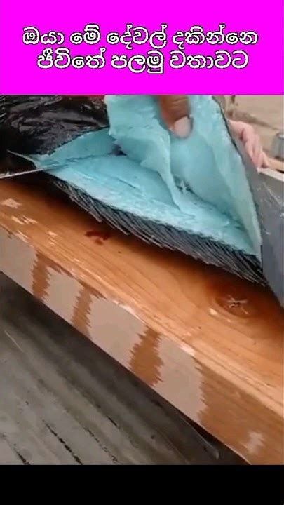 නිල් පාට මාලුවෙක් ඔයා මේ දේවල් දකින්නෙ ජීවිතේ පලමු වතාවට Youtube