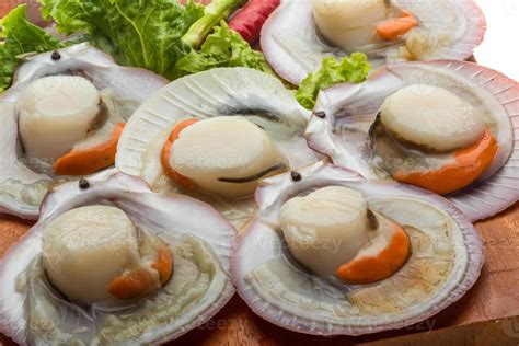 Page Scallops Stock Photos Images And Backgrounds For Free Download