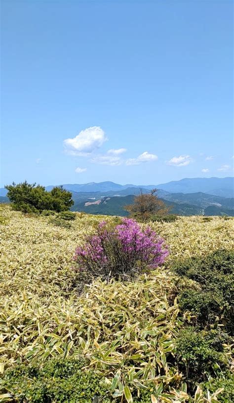 鳥人で出会う 天山（1 046m） ダン爺の旅日記